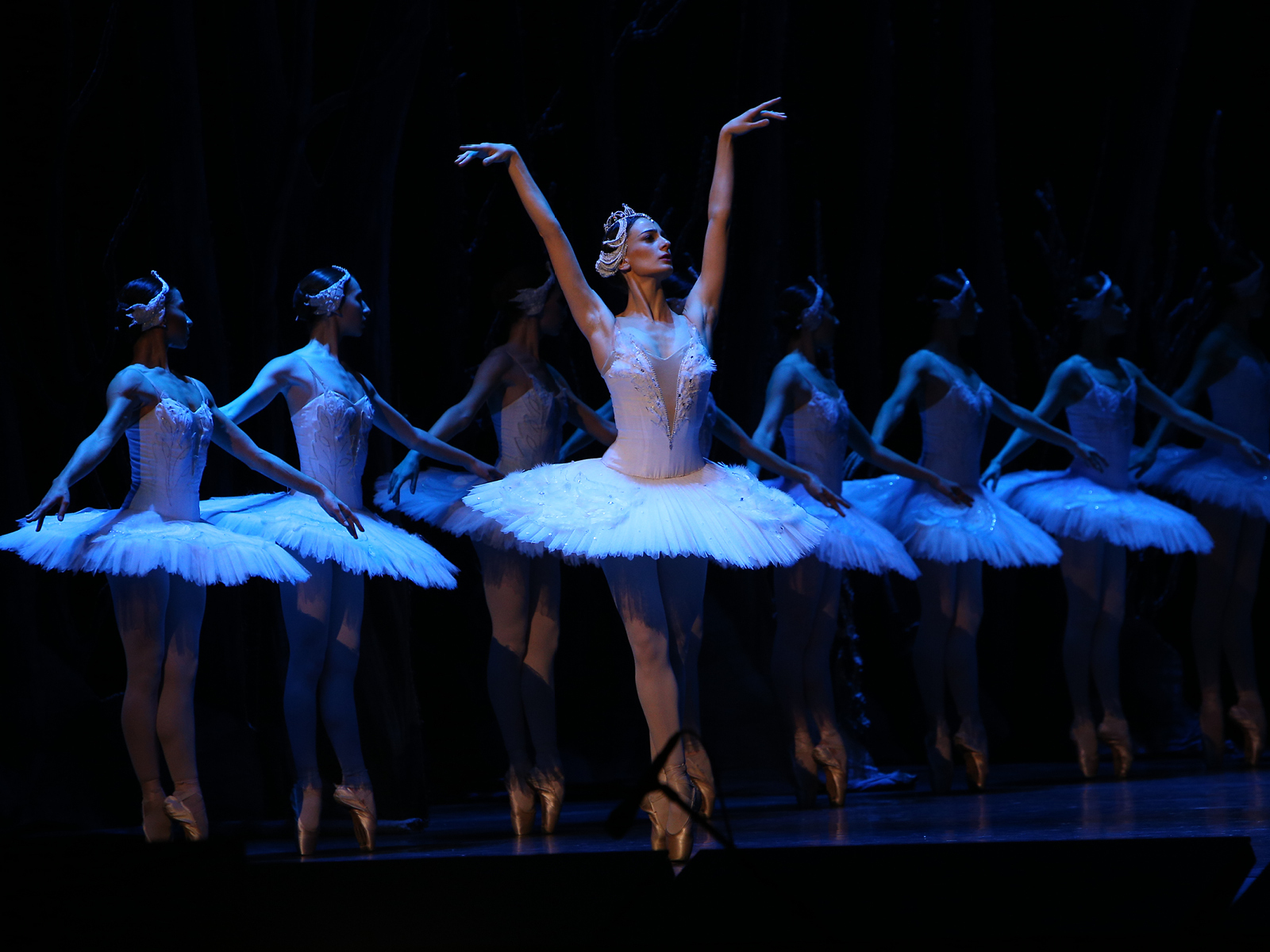 Swan Lake - State Ballet Of Georgia Tickets - London Box Office